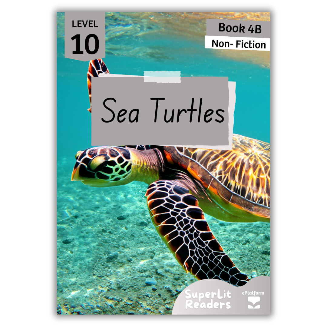 Sea Turtles (Level 10 Book 4B - Non-Fiction Series B) – SuperLit ...
