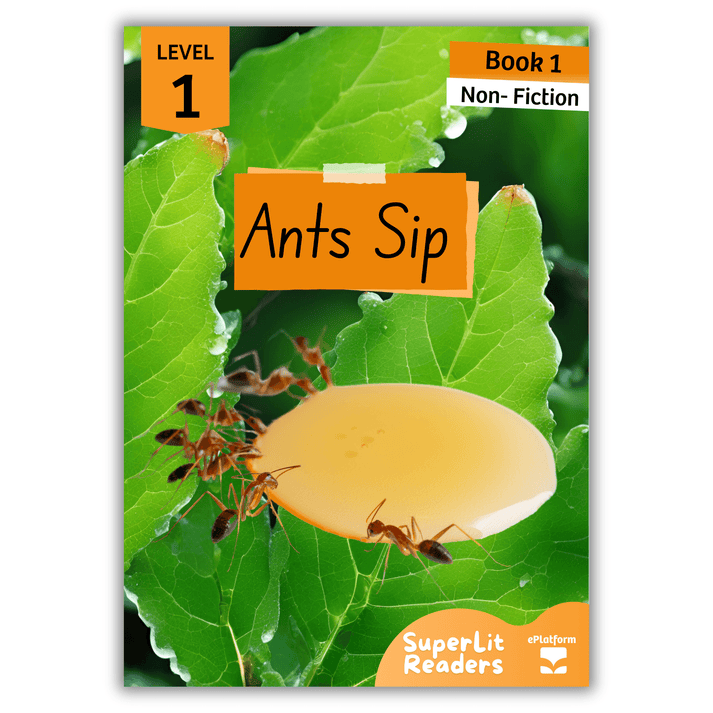 "Ants Sip" Non-Fiction Level 1 (Book 1) | Decodable Readers – My Store