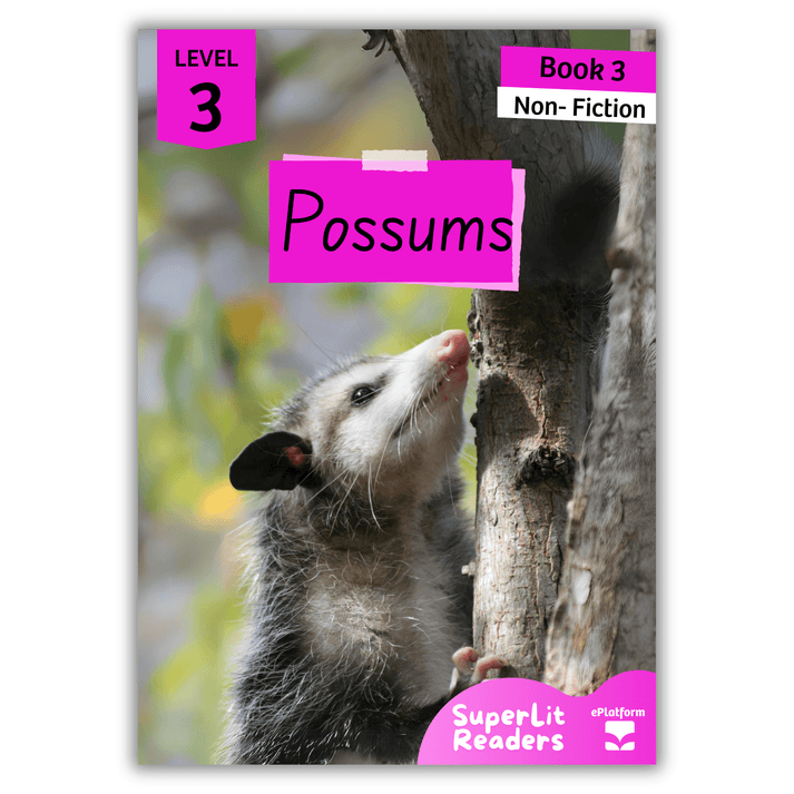 "Possums" Non-Fiction Level 3 (Book 3) | Decodable Readers – SuperLit ...