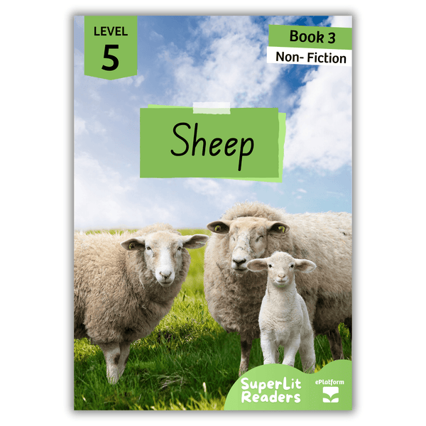 "Sheep" Non-Fiction Level 5 (Book 3) | Decodable Readers – My Store